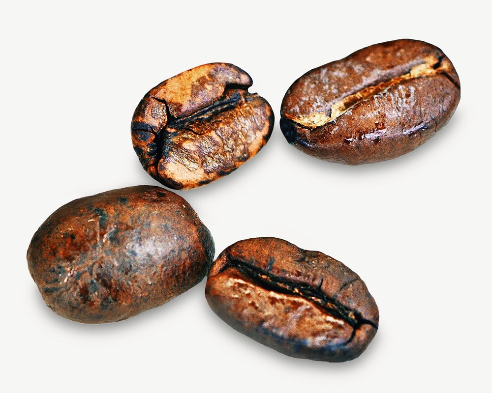 Coffee beans collage element psd | Premium PSD - rawpixel