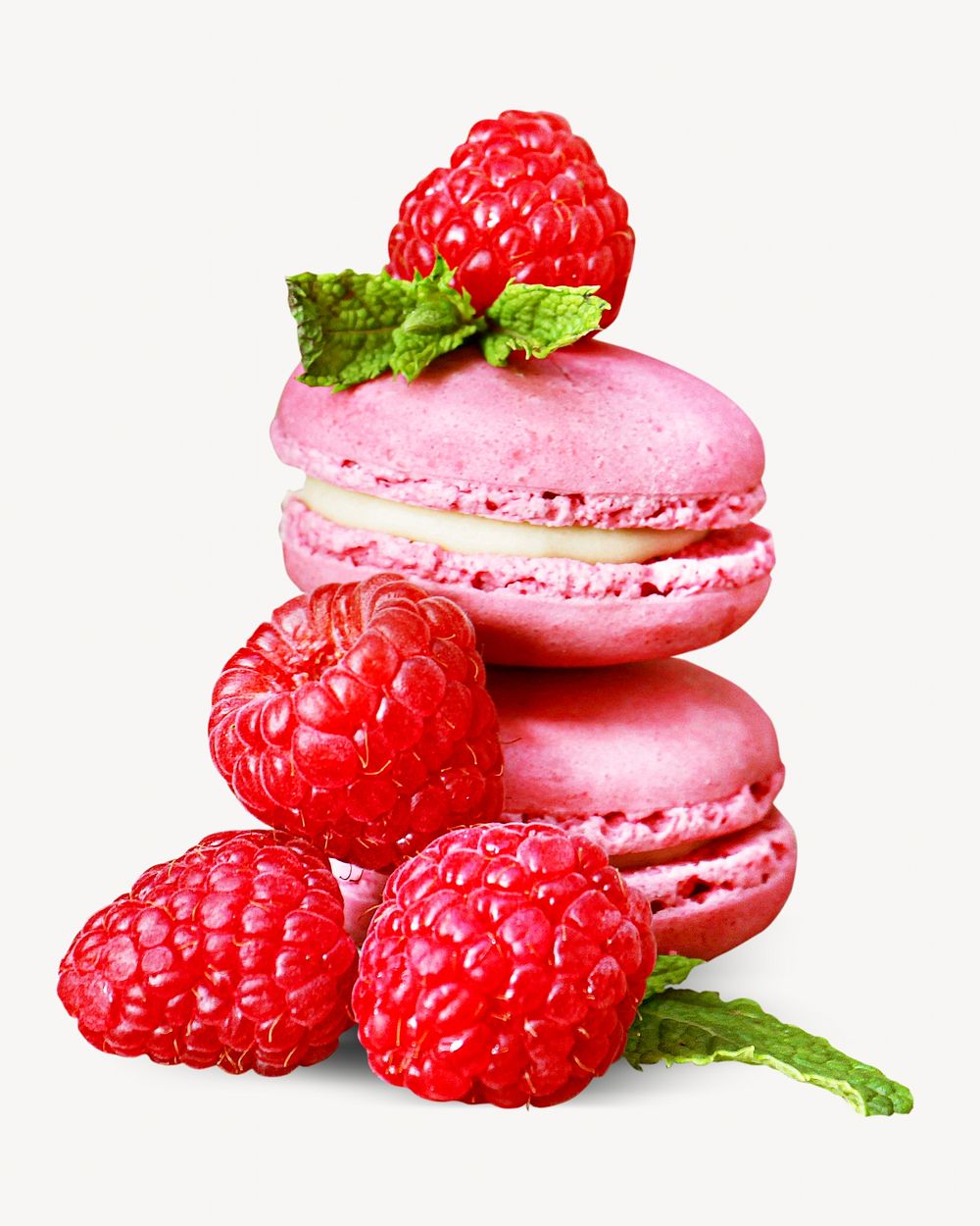 Raspberry macarons, isolated image | Free Photo - rawpixel