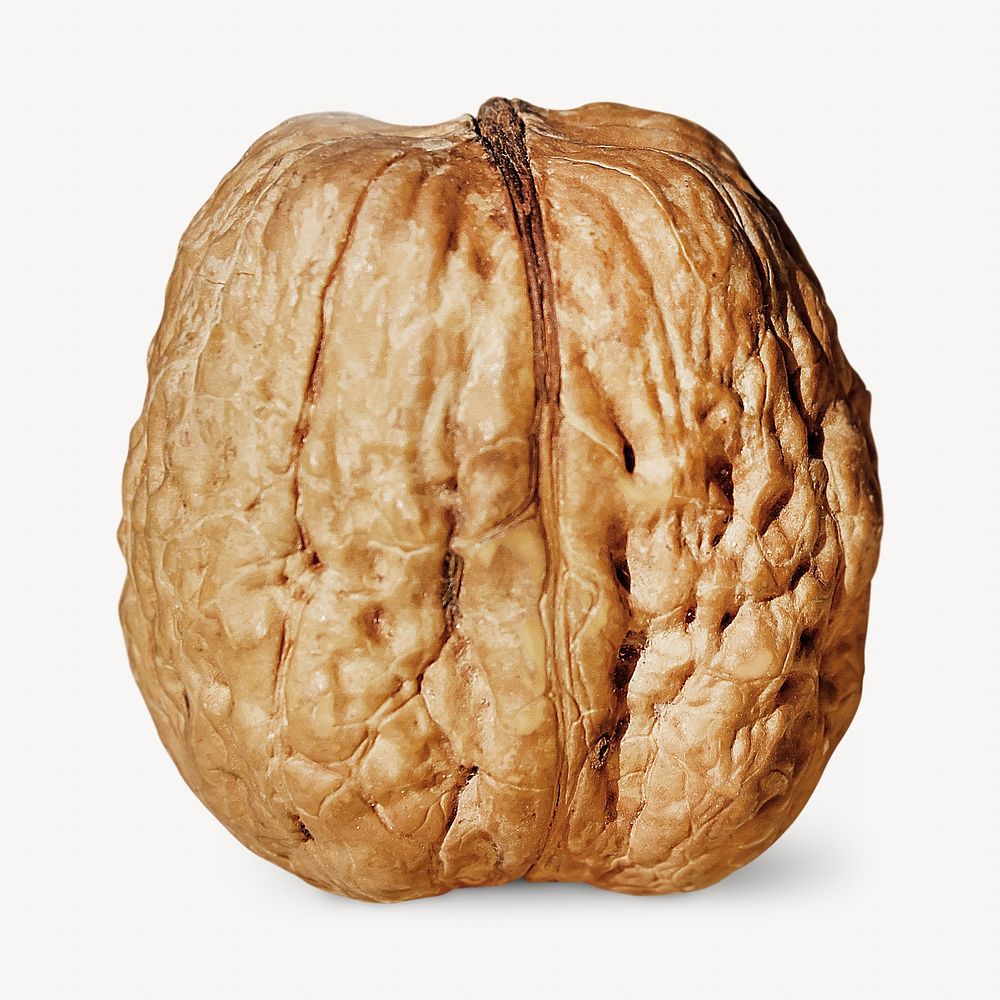 Walnut image on white design | Free Photo - rawpixel