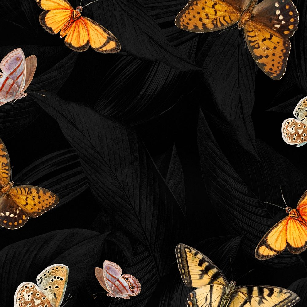 Black butterfly border frame background | Premium Photo - rawpixel