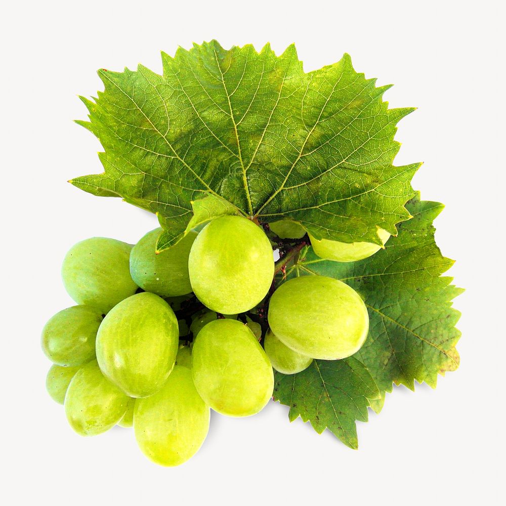 Green grapes, isolated image | Free Photo - rawpixel