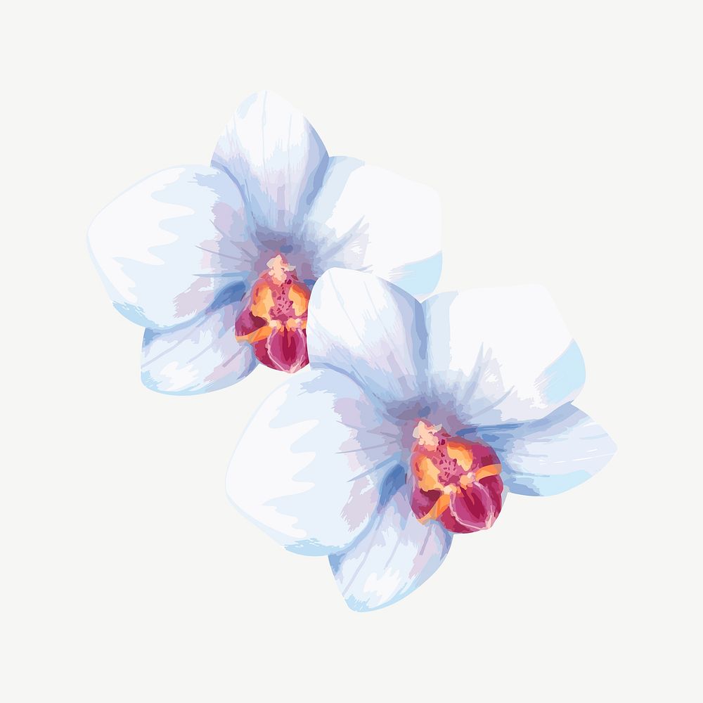 Watercolor blue orchid flower collage | Premium PSD - rawpixel