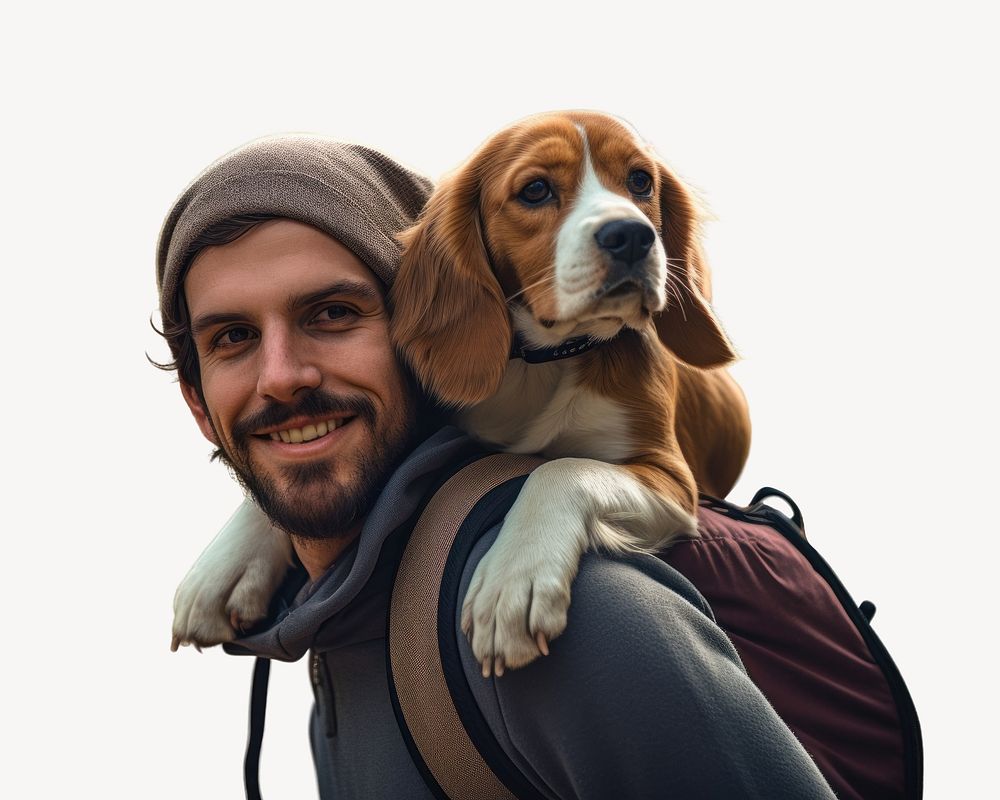 Animal mammal beagle adult. AI | Premium Photo - rawpixel