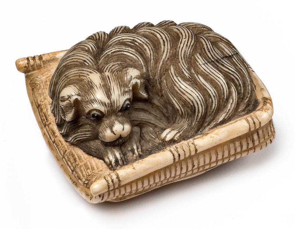 Dog Sitting Padded Basket Garaku | Free Photo - rawpixel