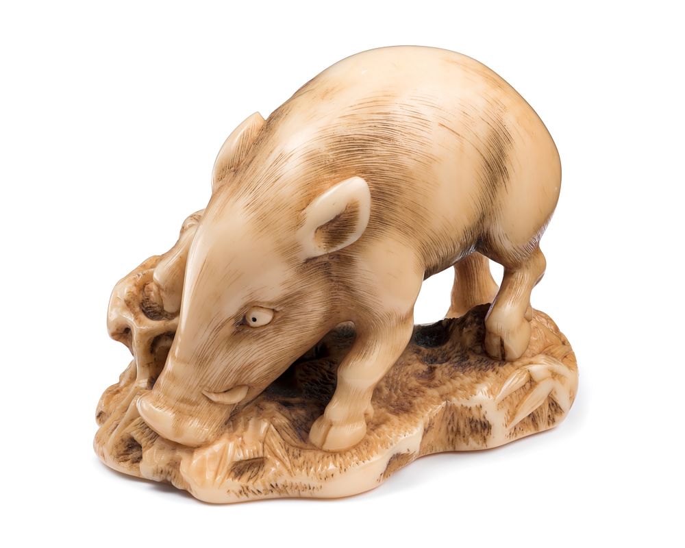 Wild Boar Rooting | Free Photo - rawpixel