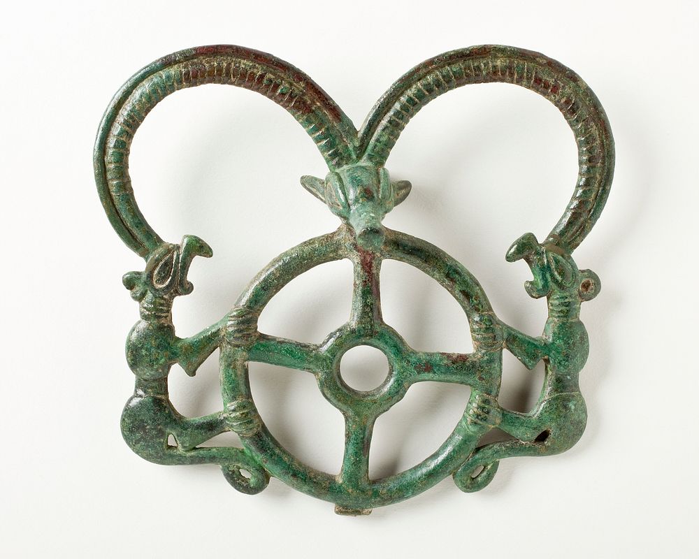 Harness Ring | Free Photo - rawpixel