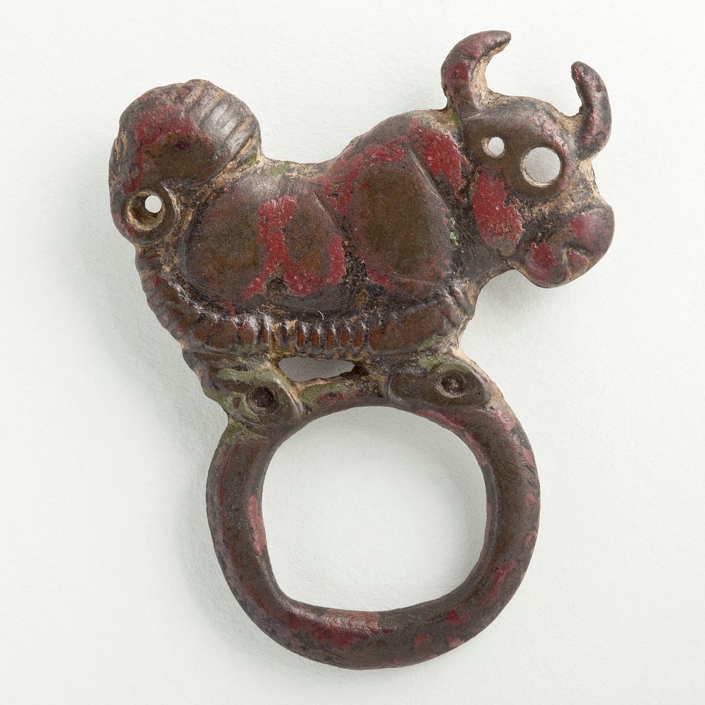 Harness Ring | Free Photo - rawpixel