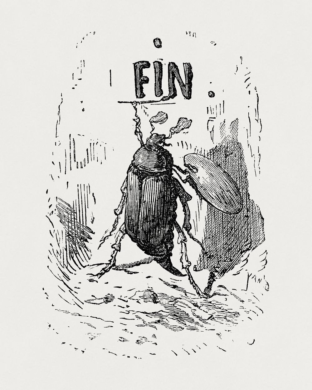 Dung beetle, vintage insect illustration | Free Photo Illustration ...