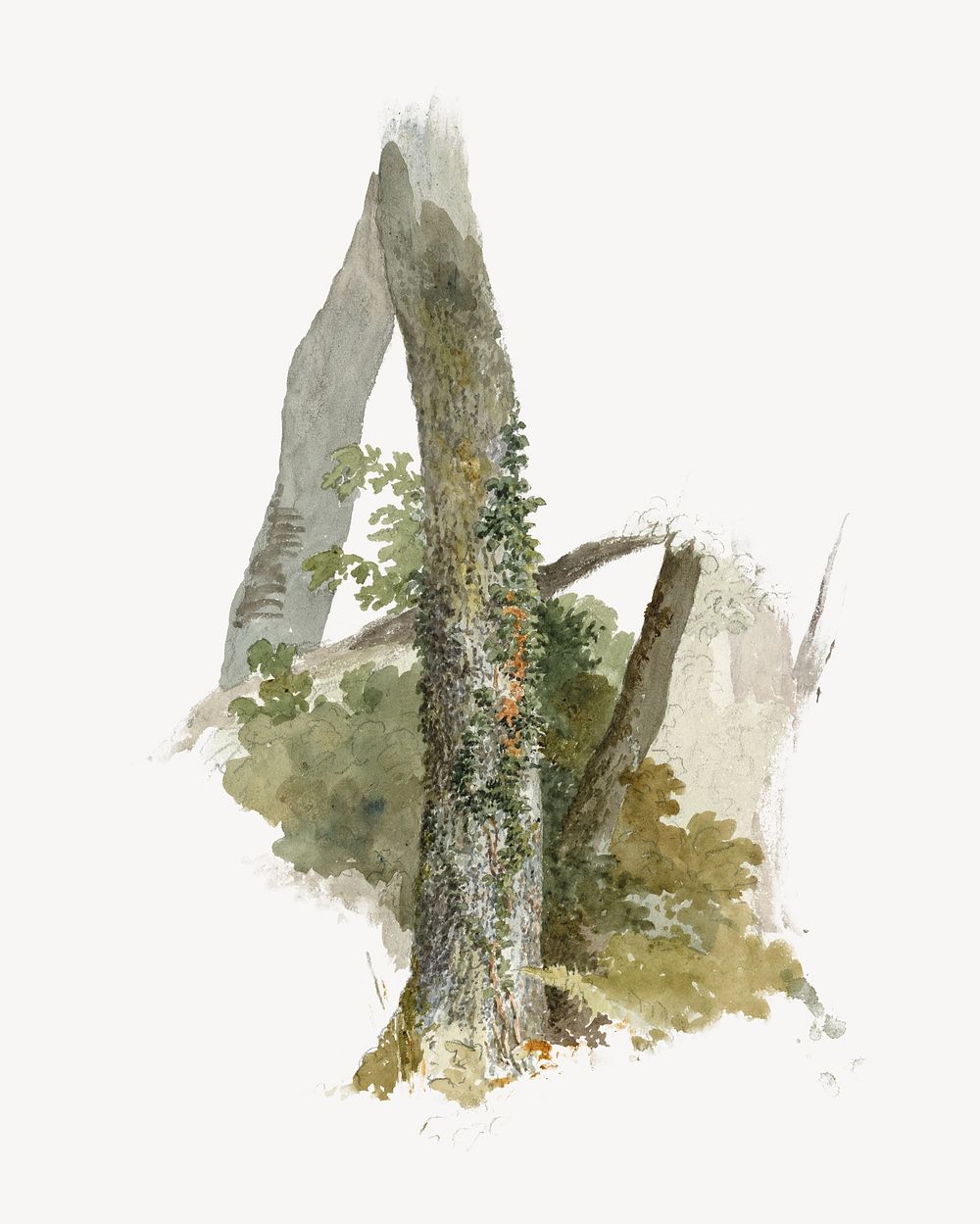 Vintage tree illustration. Remixed rawpixel. | Premium Photo ...