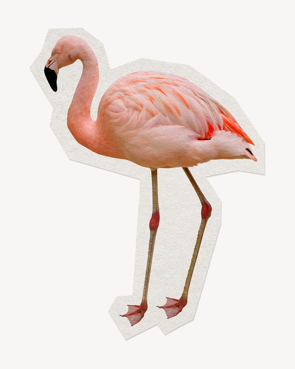Flamingo paper cut isolated design | Free Photo - rawpixel