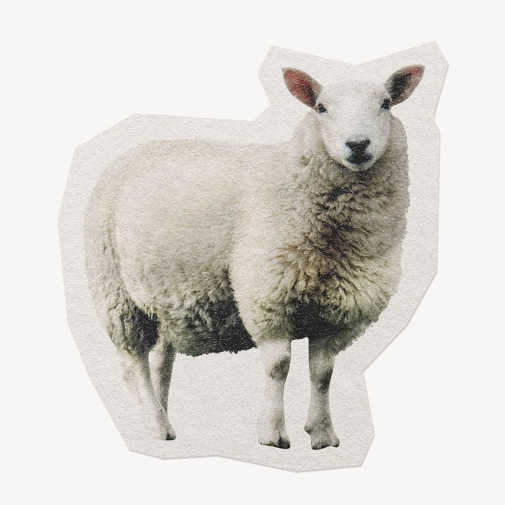 Sheep paper cut isolated design | Free Photo - rawpixel