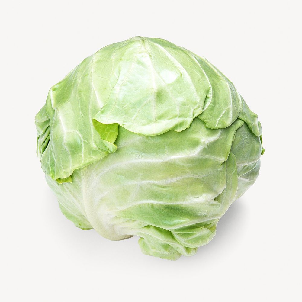 Cabbage vegetable, isolated image | Free Photo - rawpixel