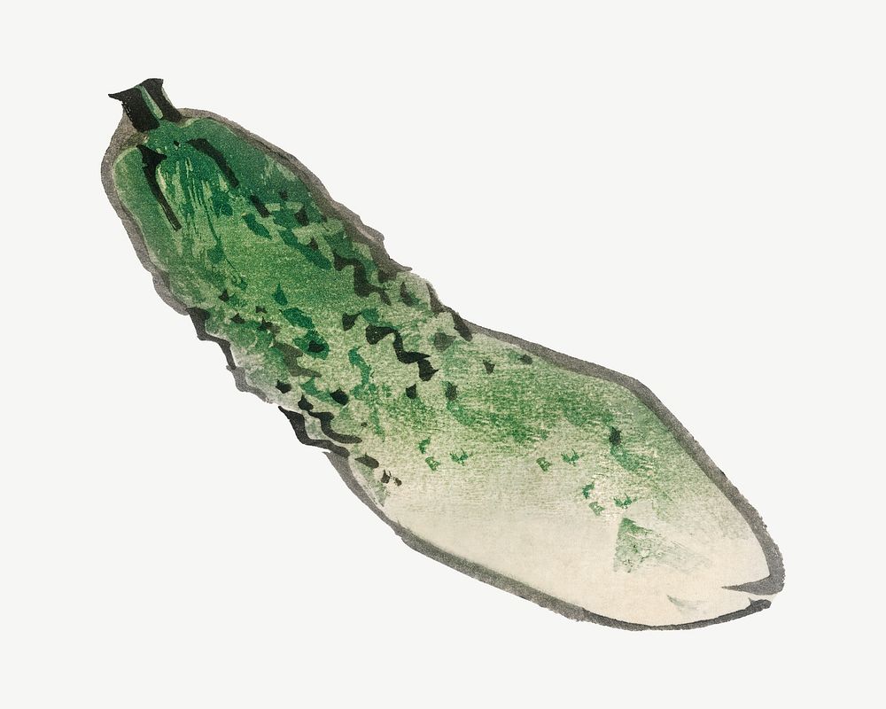 Vintage gourd illustration collage element | Premium PSD - rawpixel