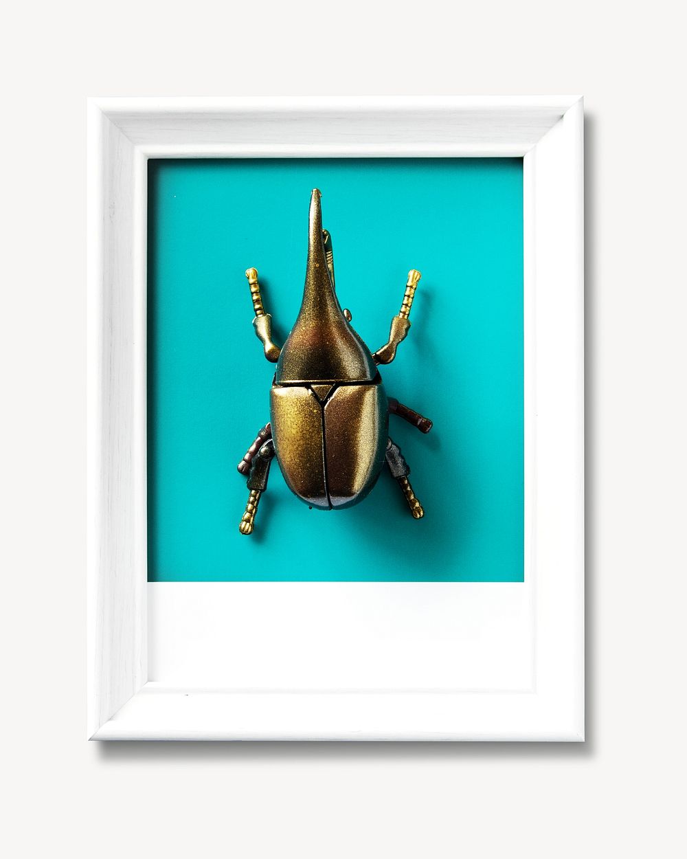 Winged beetle frame isolated design | Free Photo - rawpixel