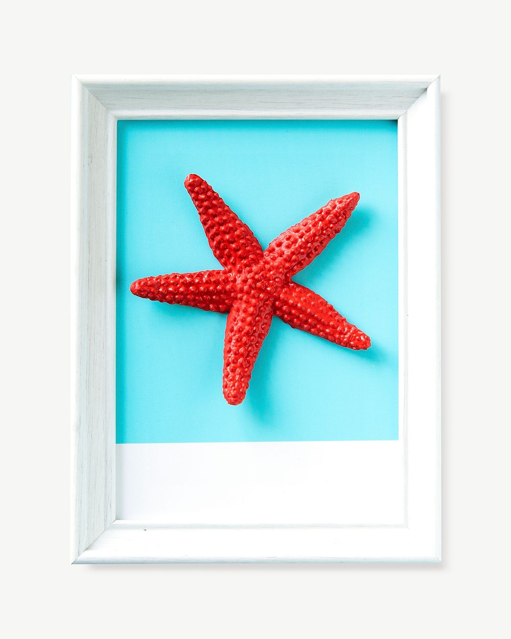 Starfish frame collage element psd | Premium PSD - rawpixel