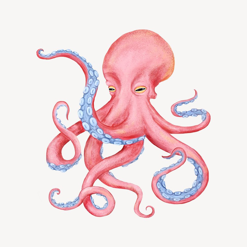 Wise octopus, cute hand drawn | Premium Photo Illustration - rawpixel