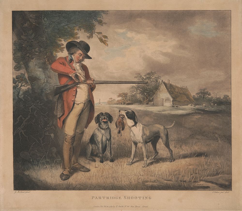 1. Partridge Shooting | Free Photo - rawpixel