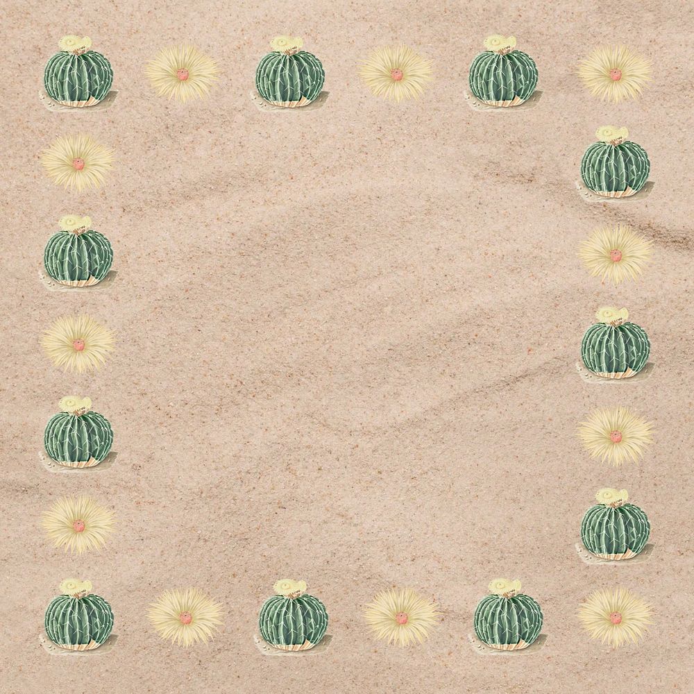 Cactus pattern border, sand background | Premium Photo - rawpixel
