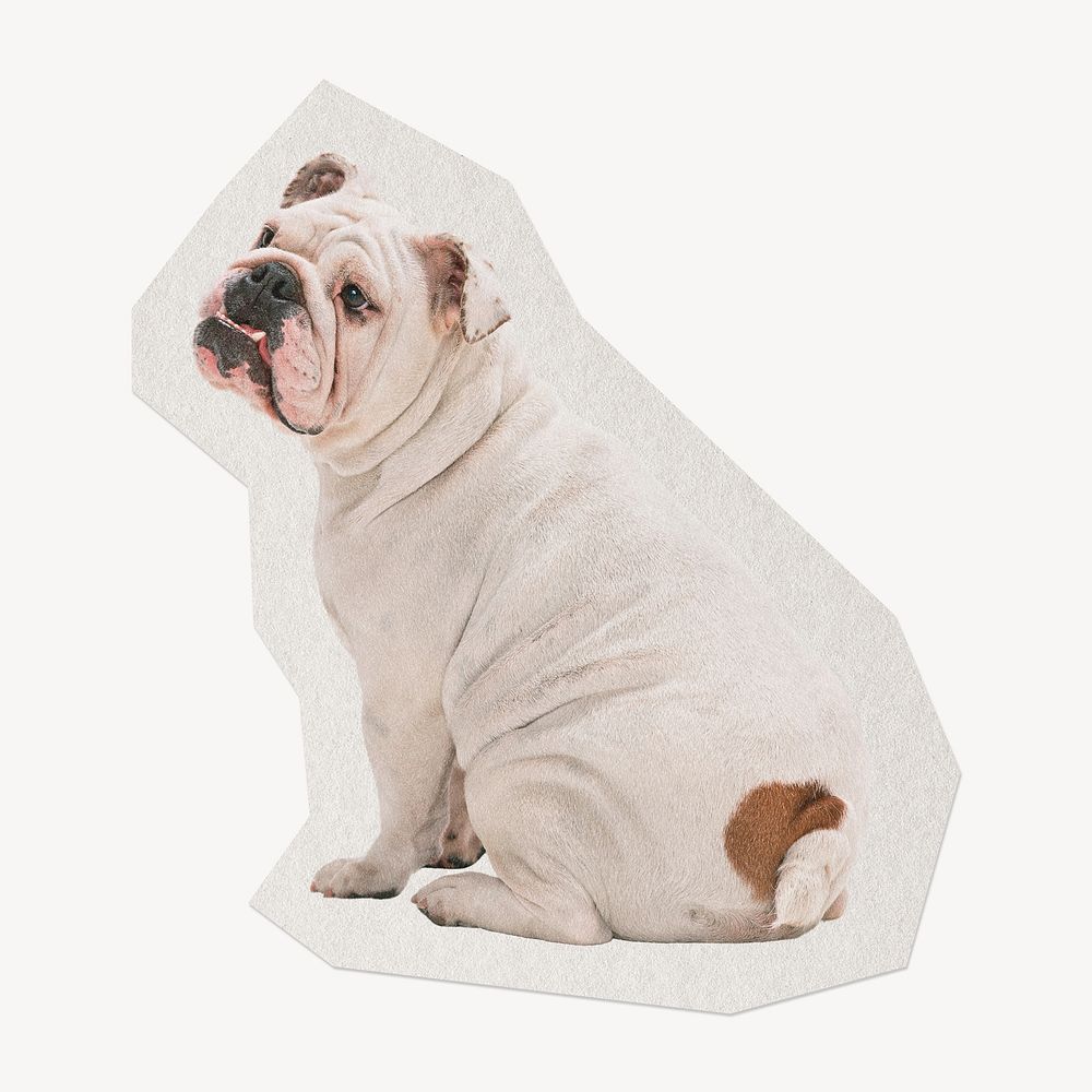 Pug dog paper element white | Free Photo - rawpixel