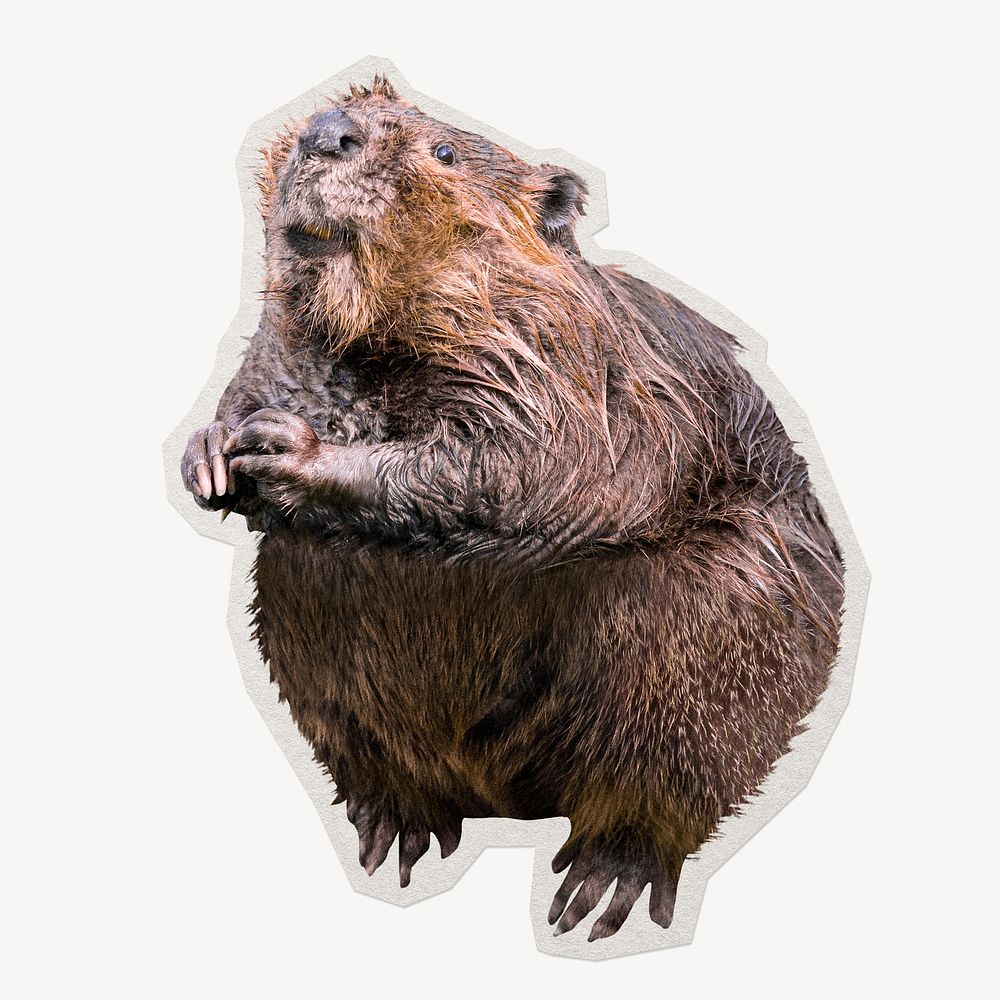 Cute beaver paper element with white | Premium Photo - rawpixel