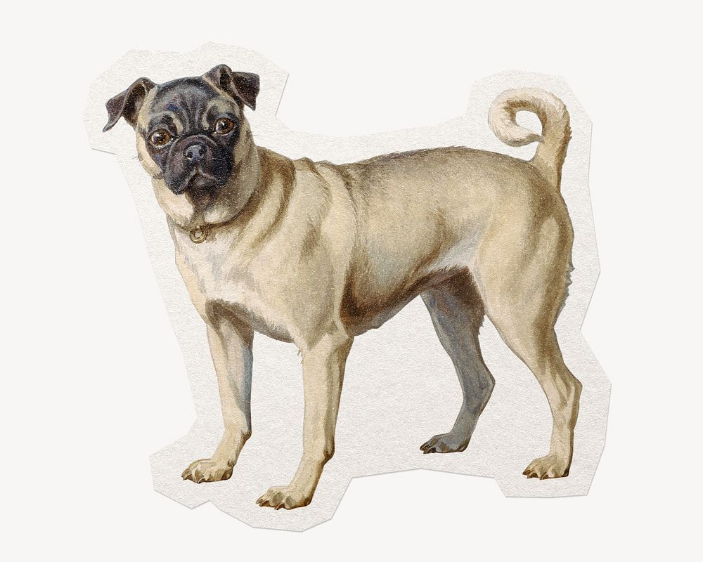 Pug dog paper element with white | Premium Photo Illustration - rawpixel