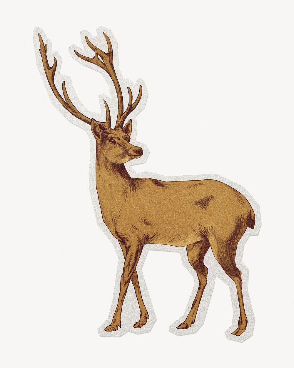 Stag paper element white border | Premium Photo Illustration - rawpixel