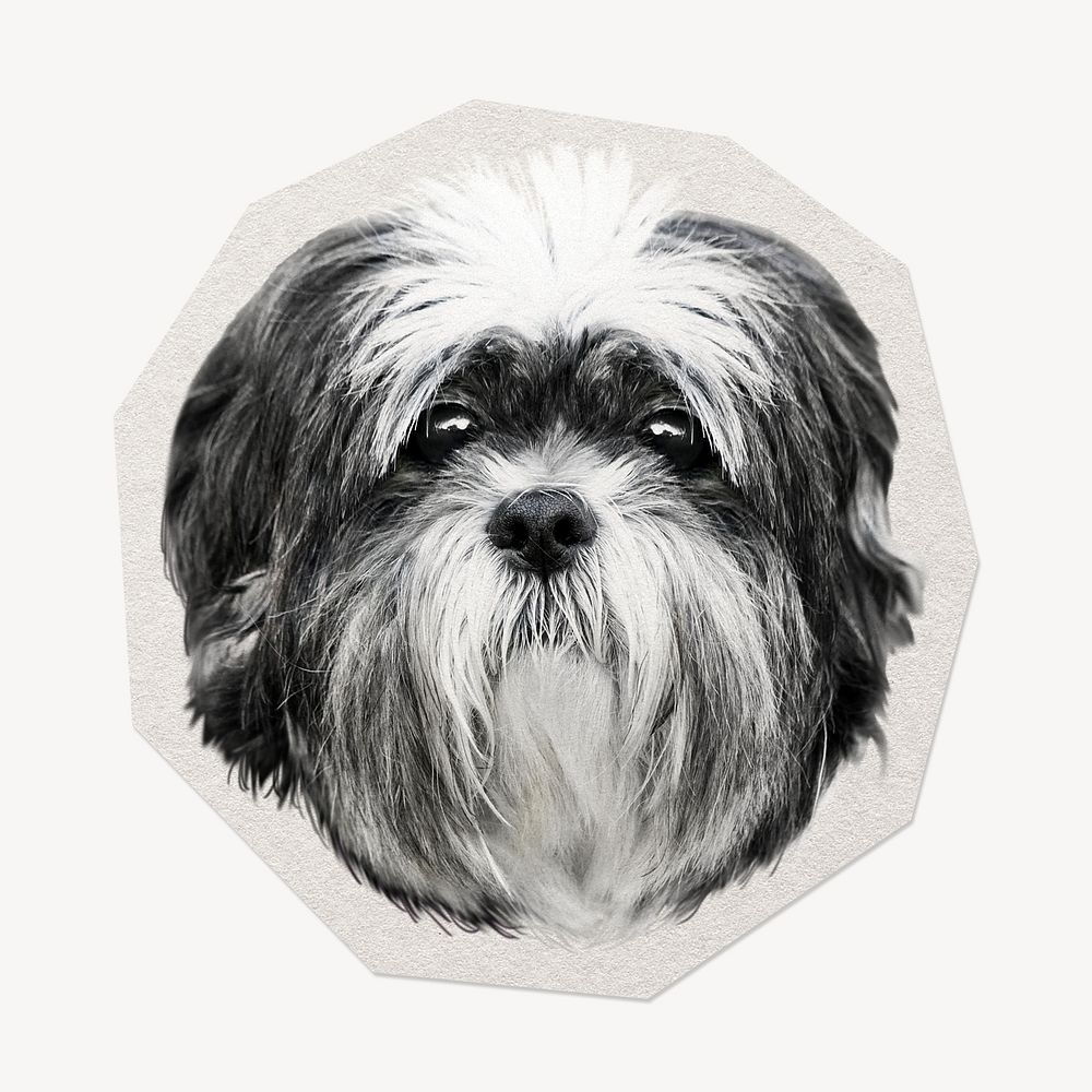 Shih tzu dog paper element | Premium Photo - rawpixel