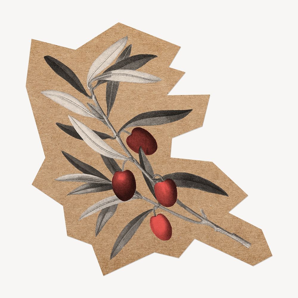 Branch, cut paper element. Artwork | Premium Photo - rawpixel