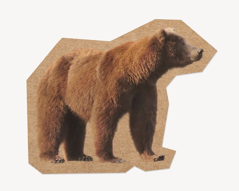 Brown bear, cut paper element | Premium Photo - rawpixel