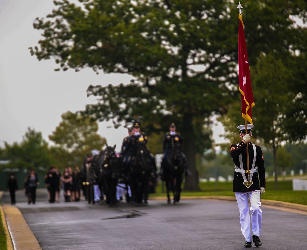 Marine carries general officer flag | Free Photo - rawpixel