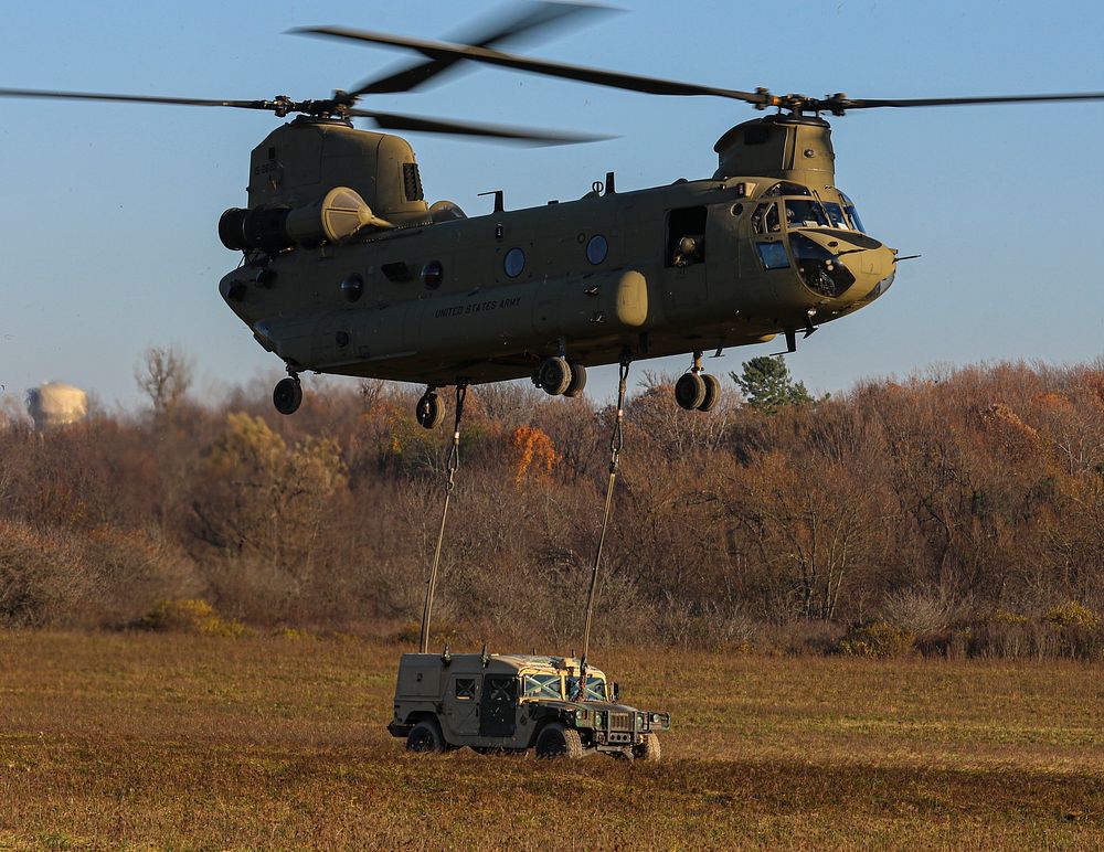 10th CAB 1-87 Air Assault | Free Photo - rawpixel