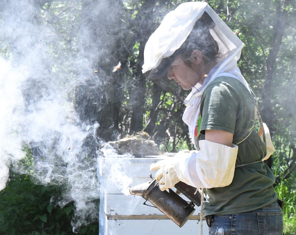 Bee Farm tour | Free Photo - rawpixel