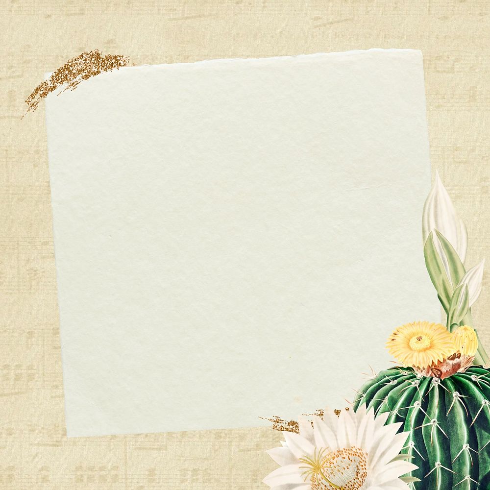 Cactus paper note background design | Premium Photo - rawpixel
