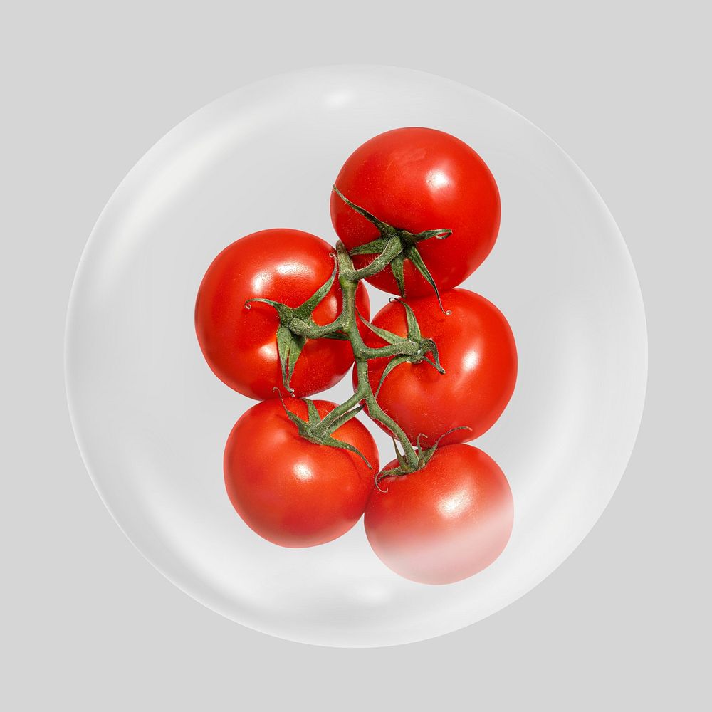 Tomato bunch bubble element, fruit | Free Photo - rawpixel