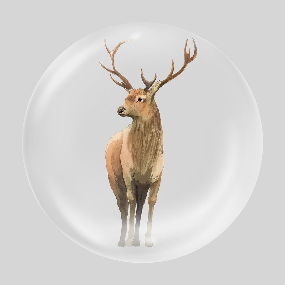 Deer illustration clear bubble element | Free Photo - rawpixel