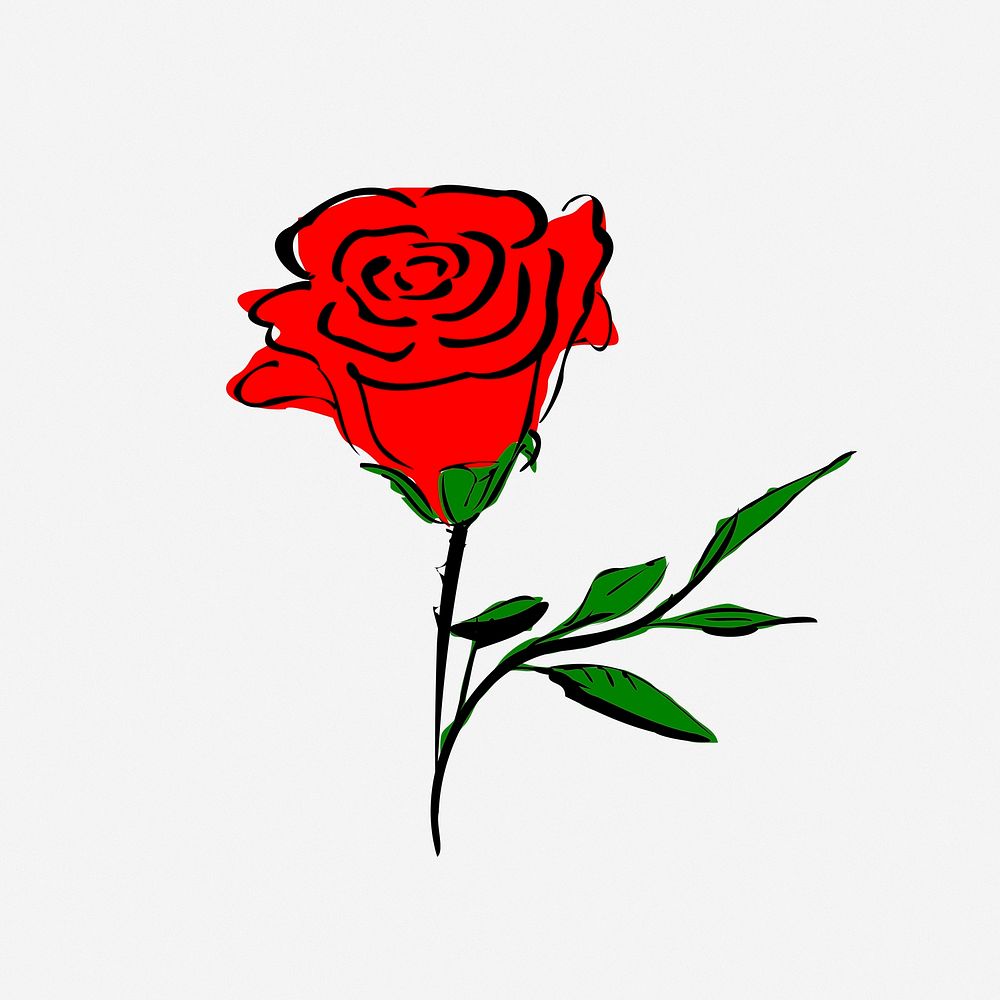 Rose illustration. | Free Photo - rawpixel