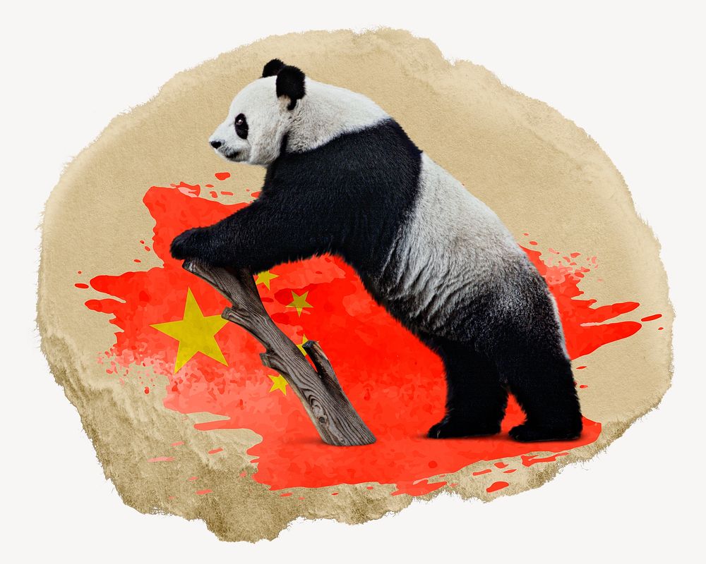 Giant Panda collage element psd | Premium PSD - rawpixel