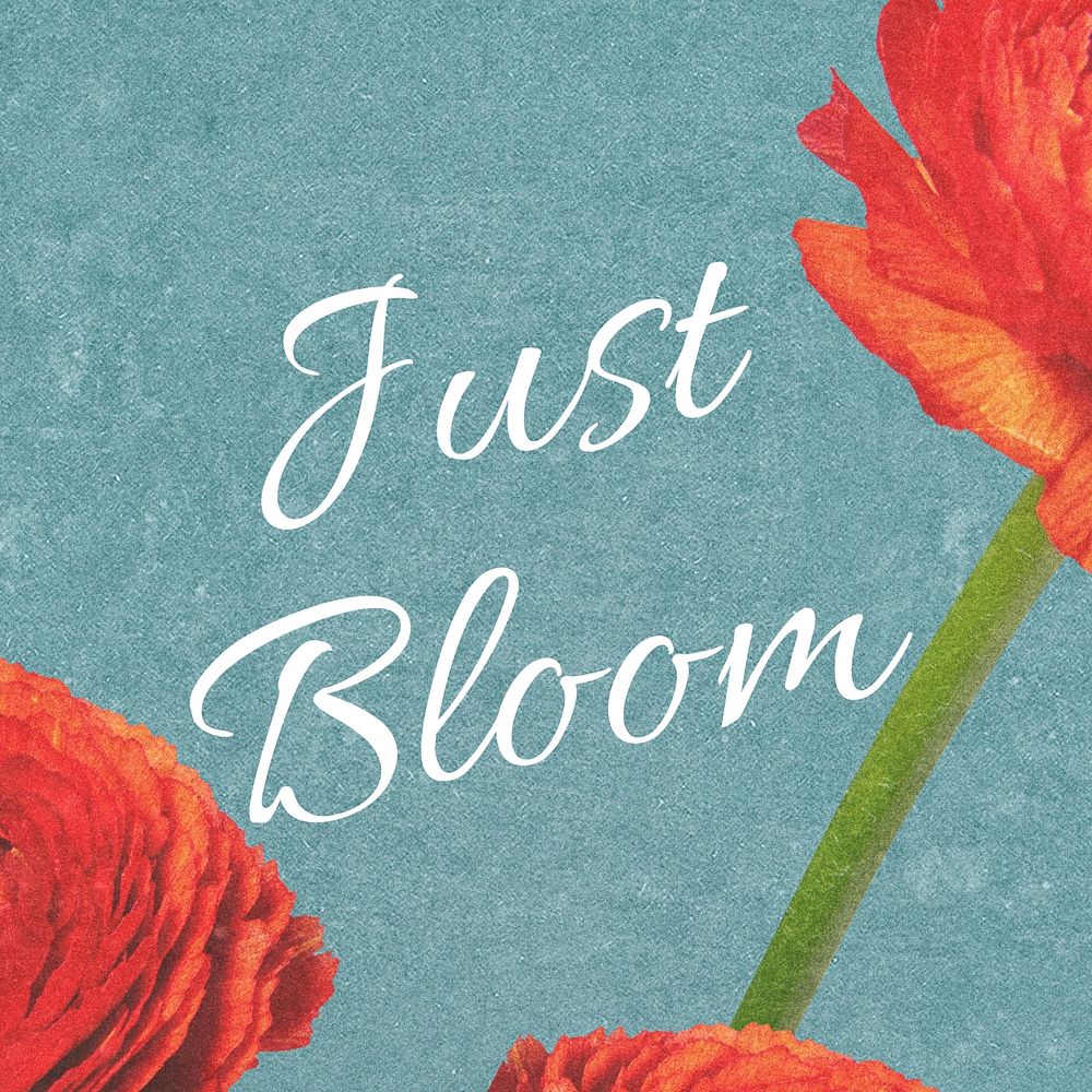 Bloom, positivity quote Instagram post | Free Photo - rawpixel