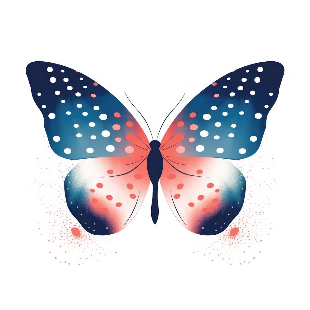 Butterfly bold shape pattern insect | Free Photo Illustration - rawpixel