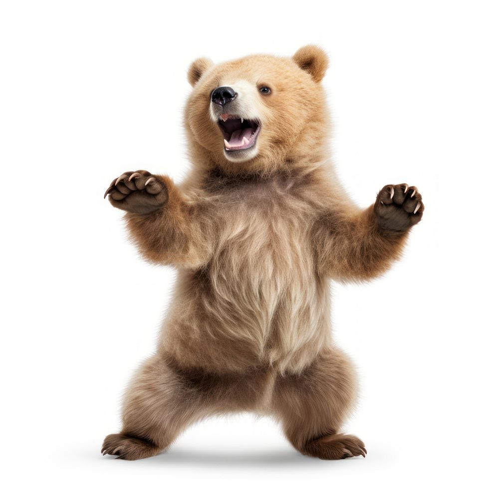 Happy smiling dancing baby bear | Premium Photo - rawpixel