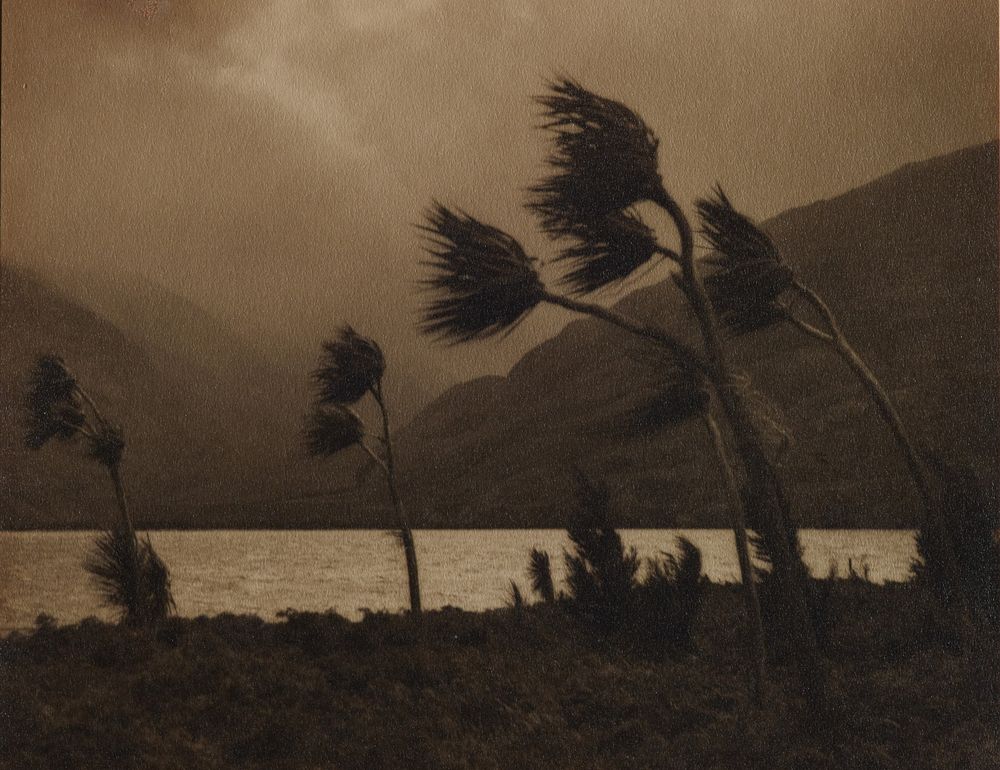 storm - Wanaka (circa 1940) | Free Photo - rawpixel