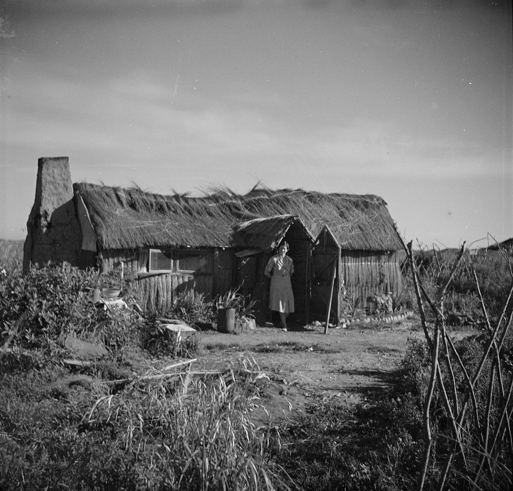 Rimutakas J W Chapman Taylor | Free Photo - rawpixel