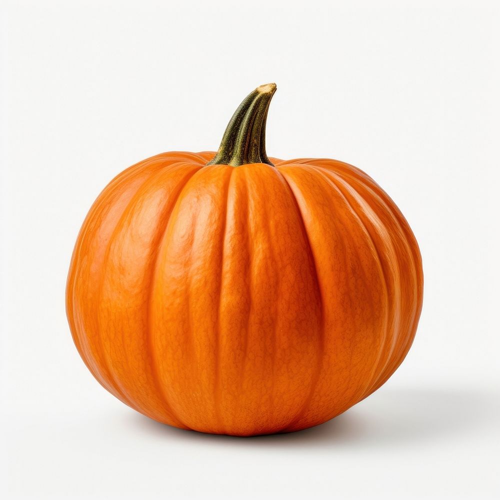 Pumkin vegetable pumpkin plant. | Free Photo - rawpixel