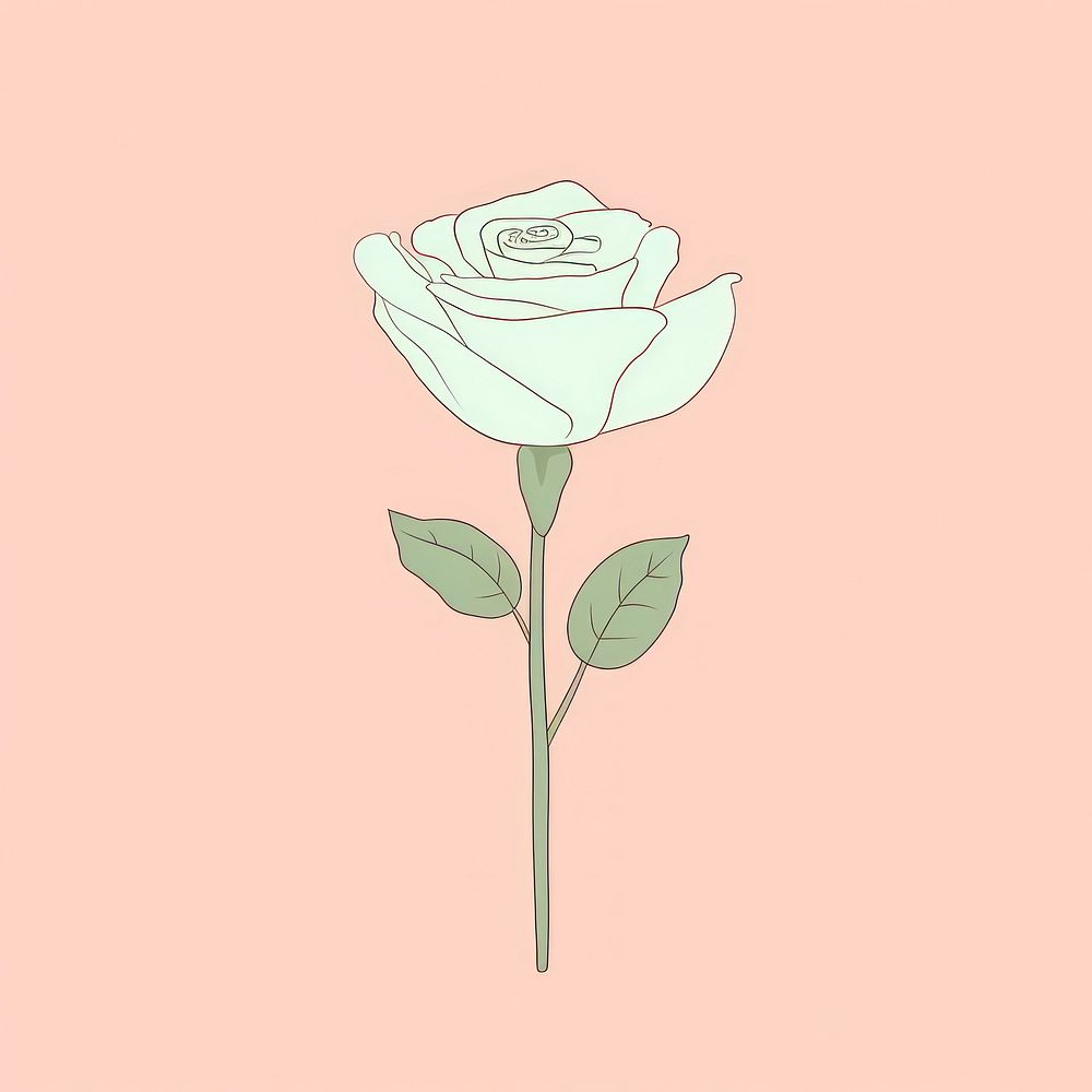 Pink rose cartoon drawing flower. | Premium Photo Illustration - rawpixel