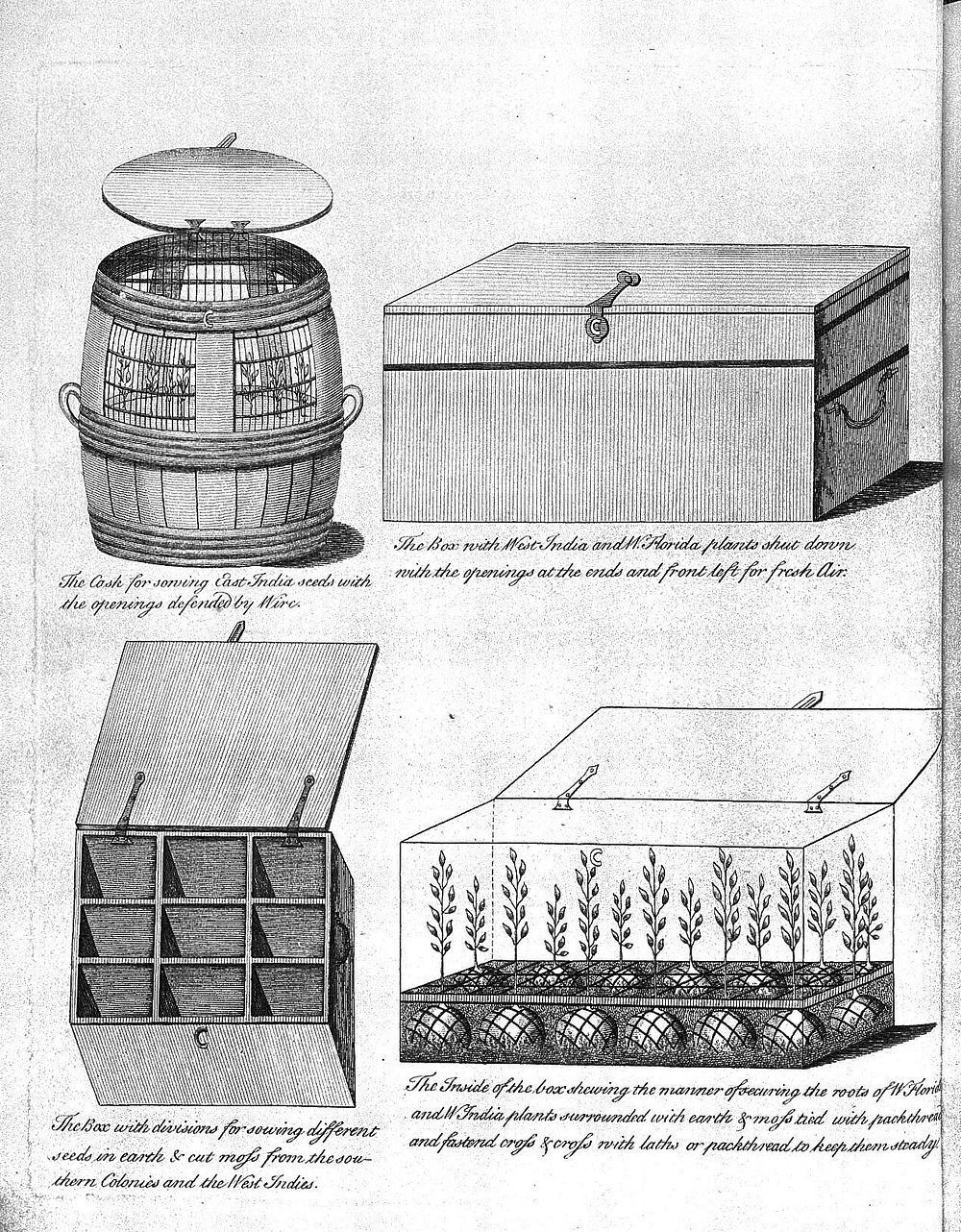 Directions bringing seeds and plants, | Free Photo Illustration - rawpixel