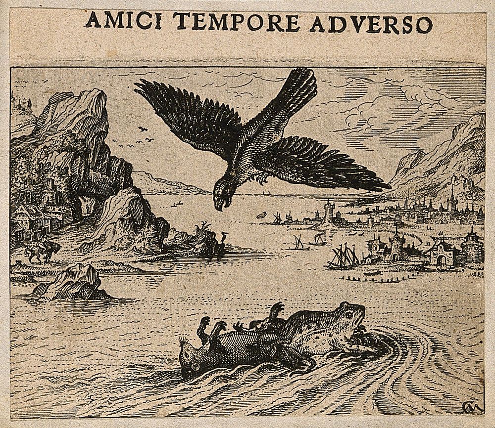 bird prey prepares swoop mouse | Free Photo Illustration - rawpixel