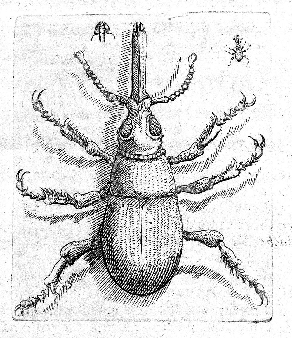 Persio / tradotto verso sciolto | Free Photo Illustration - rawpixel