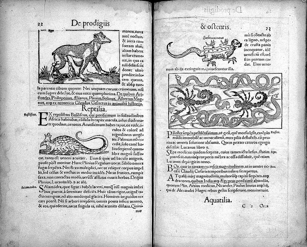 Prodigiorum ac ostentorum chronicon, : | Free Photo Illustration - rawpixel