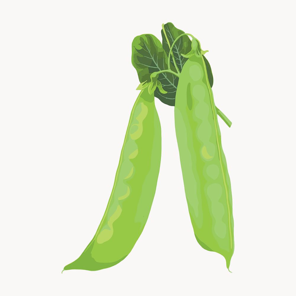 Fresh green pea pods illustration | Free Vector - rawpixel