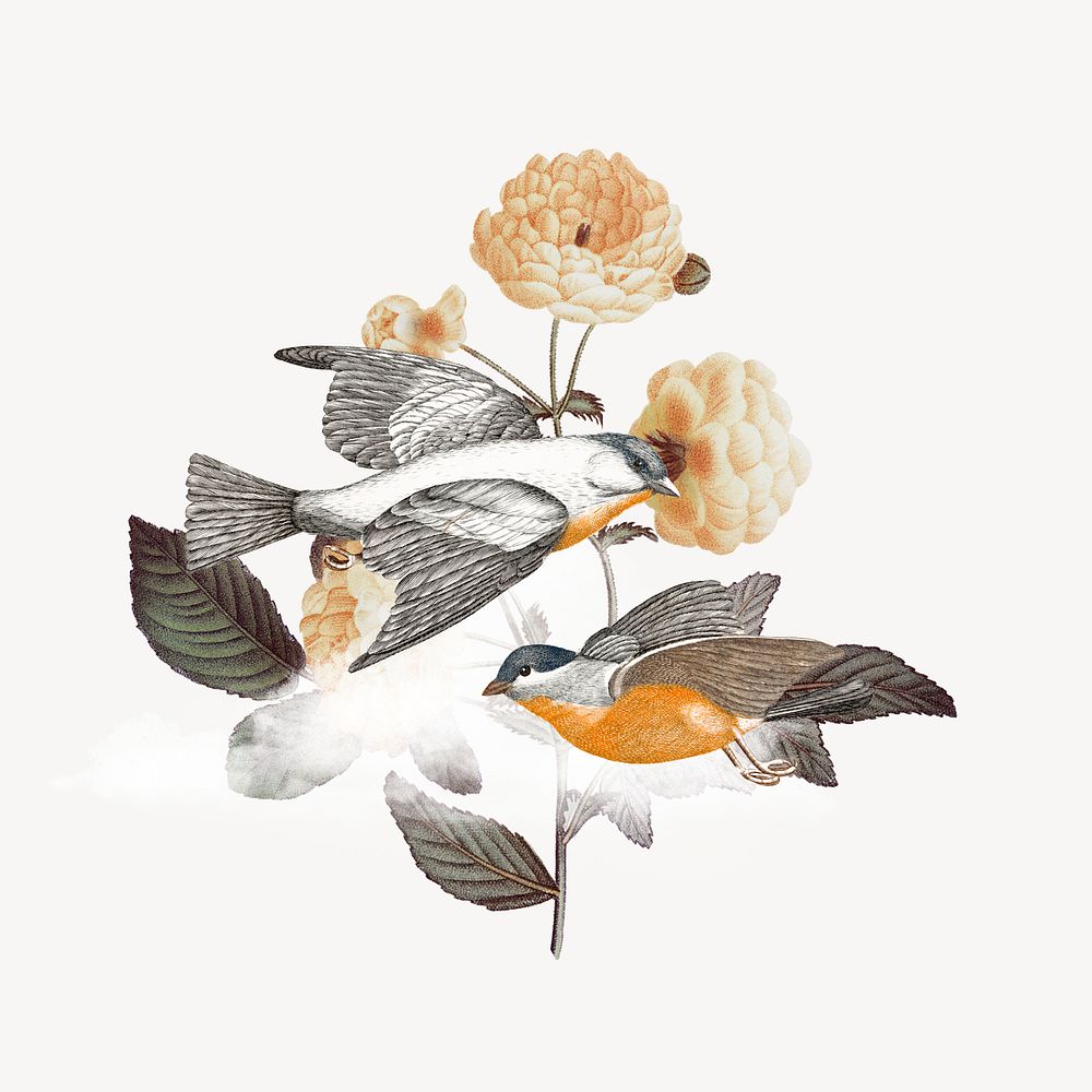 Vintage floral birds, botanical collage | Premium Photo Illustration ...